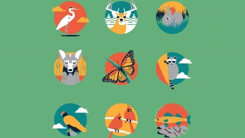 How to Design Better Icons | Skillshare Blog