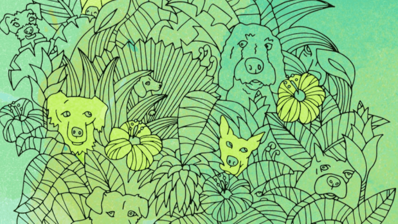 15 Crayon Drawings and Ideas to Try Yourself | Skillshare Blog