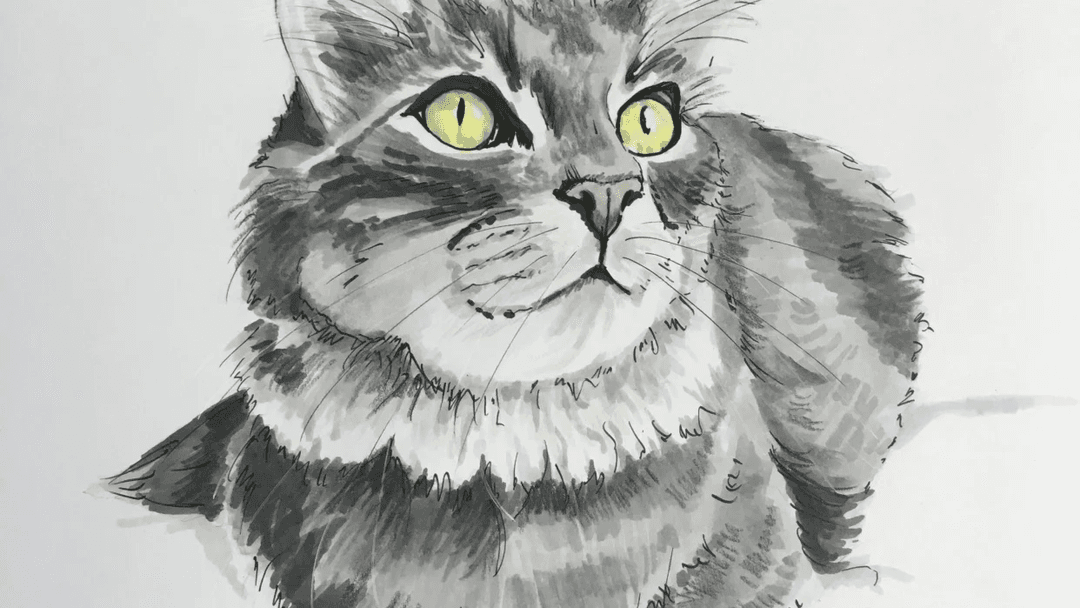 Be Nosey and Learn How to Draw Noses | Skillshare Blog