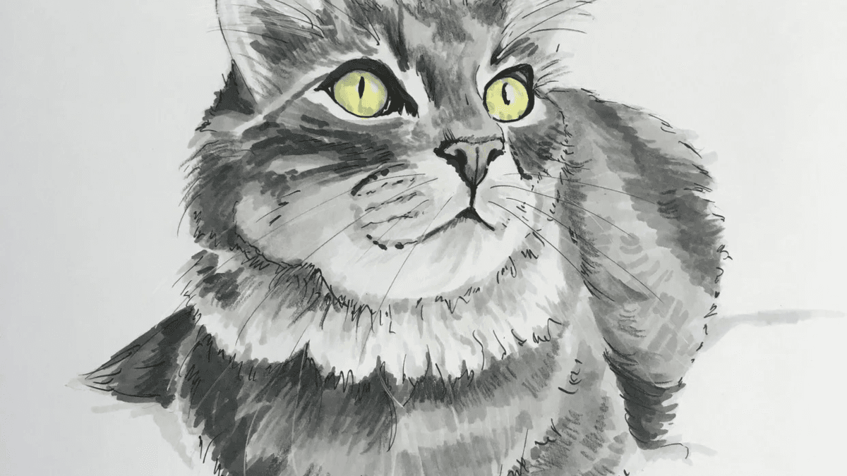Be Nosey and Learn How to Draw Noses | Skillshare Blog