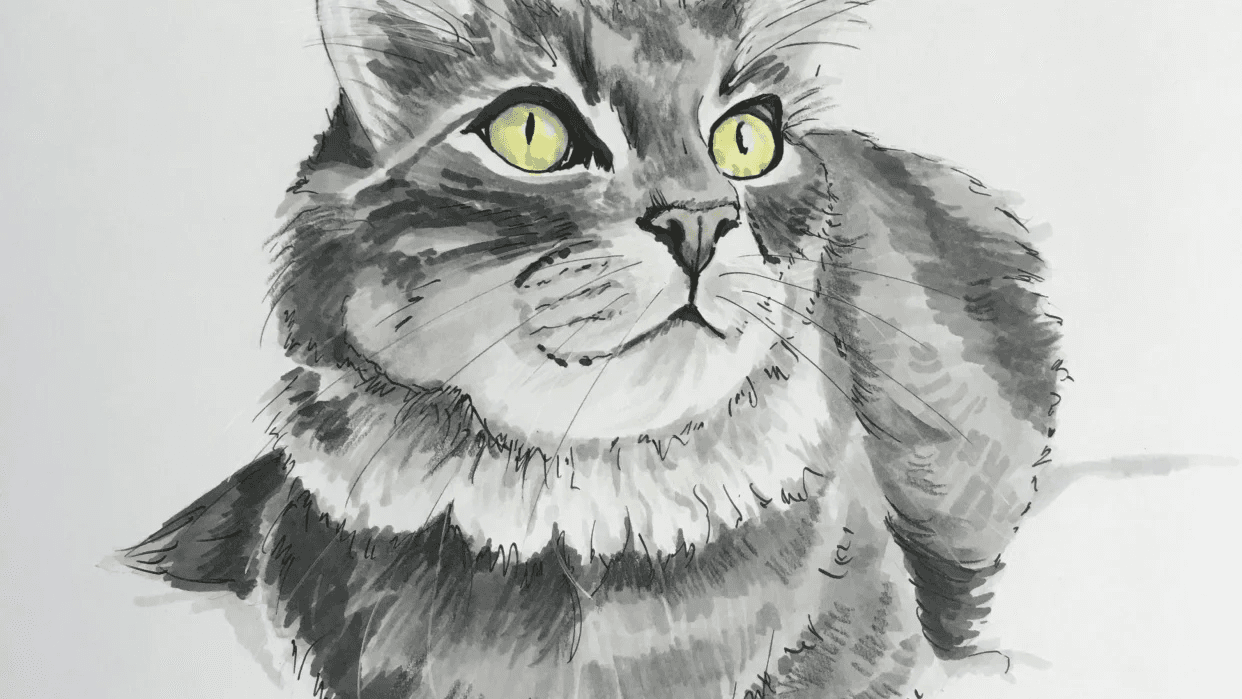 Be Nosey and Learn How to Draw Noses | Skillshare Blog