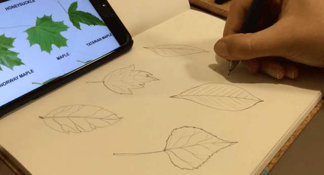 21 Quick Drawing Tips That'll Improve Your Skills | Skillshare Blog