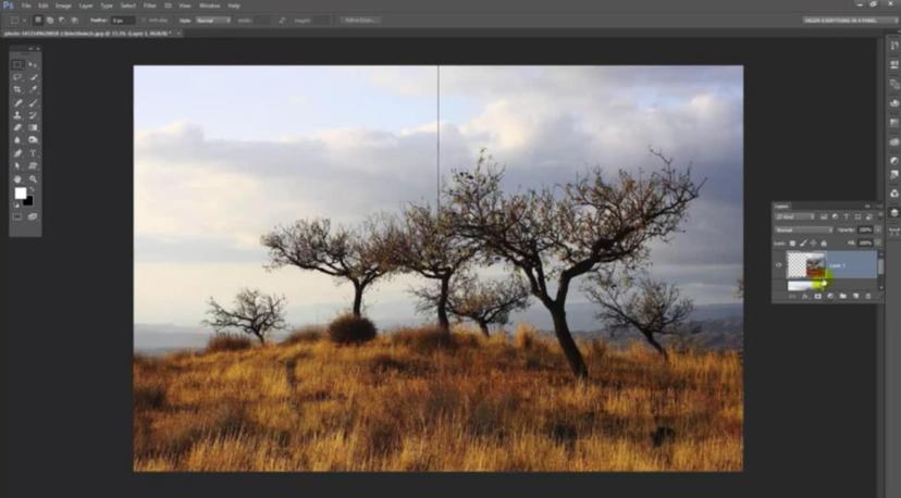 How To Flip A Layer In Photoshop: 3 Easy Steps For Beginners ...