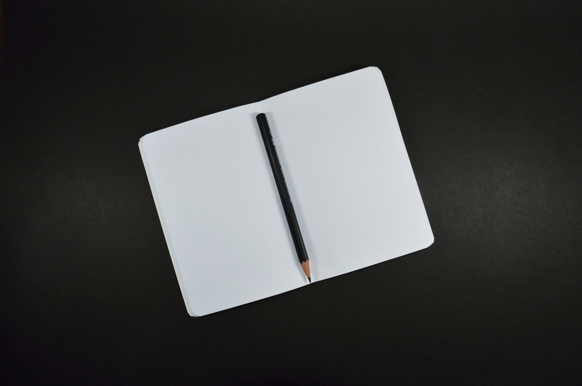 Our Five Favorite Design Projects For August Skillshare Blog Our Five Favorite Design Projects For August Skillshare Blog