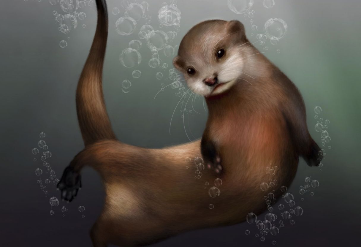 Intro to Drawing and Illustration | Skillshare Blog