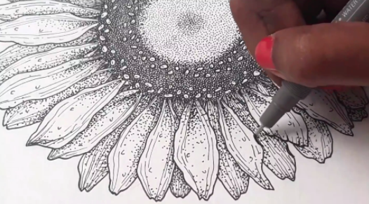 Detailed Drawings Of Flowers