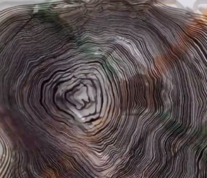 Suminagashi: Learn the Art of Japanese Paper Marbling | Skillshare Blog