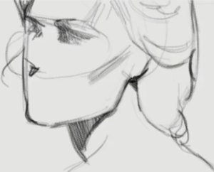 15 Drawing Ideas for Beginners to Build Basic Skills | Skillshare Blog