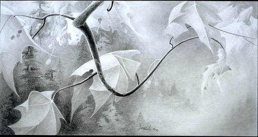 Graphite Drawing: More Than Just Pencil Work | Skillshare Blog