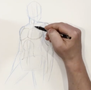 Drawing Anatomy: A Step by Step Guide | Skillshare Blog