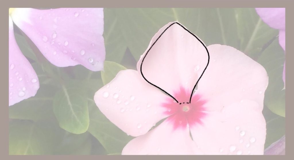 From Budding Artist to Drawing Flower Petals Like the Pros | Skillshare ...