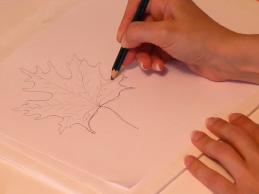 How to Draw Leaves: Building Blocks of a Botanical Masterpiece ...