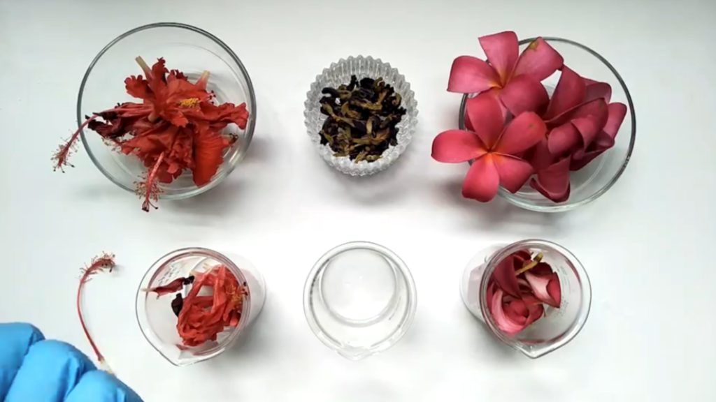 Drawn From Nature: A Guide To Natural Pigments | Skillshare Blog