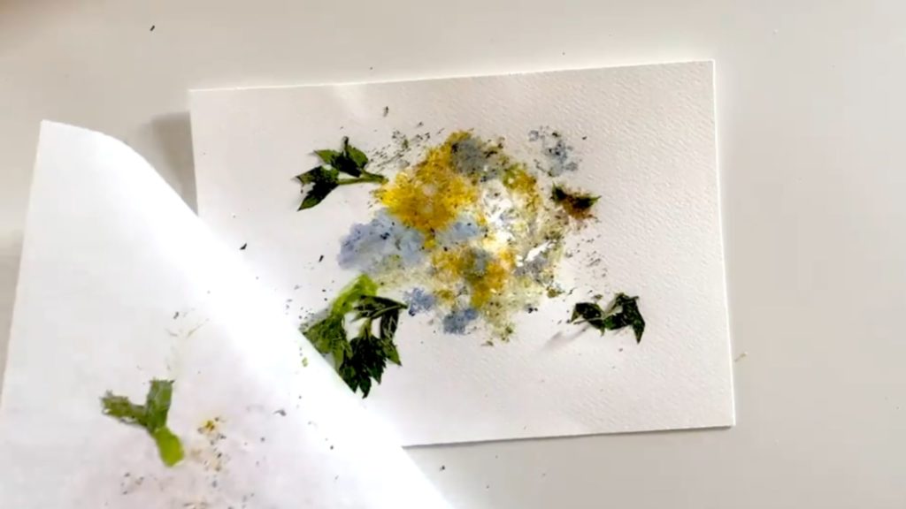 Drawn From Nature: A Guide To Natural Pigments | Skillshare Blog