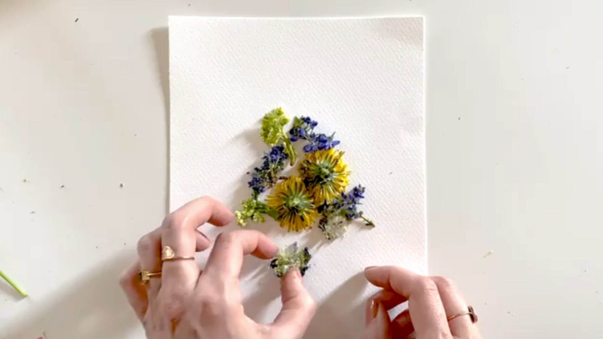 Drawn From Nature: A Guide To Natural Pigments | Skillshare Blog