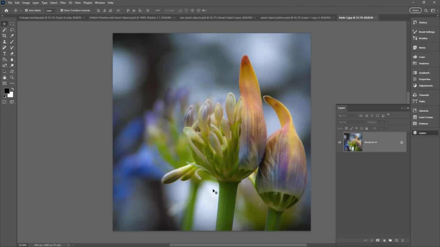 How to Clear Your Scratch Disk: Photoshop 101 | Skillshare Blog