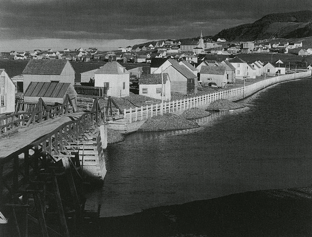 17 Famous Photographers Whose Work Will Inspire You | Skillshare Blog