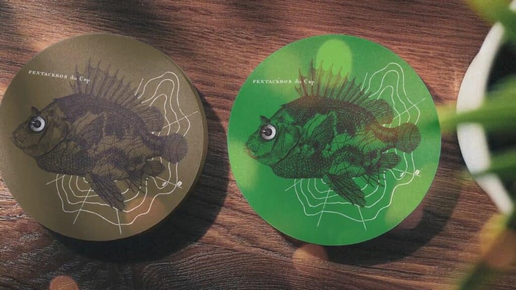 8 Adobe Photoshop Projects for Beginners | Skillshare Blog