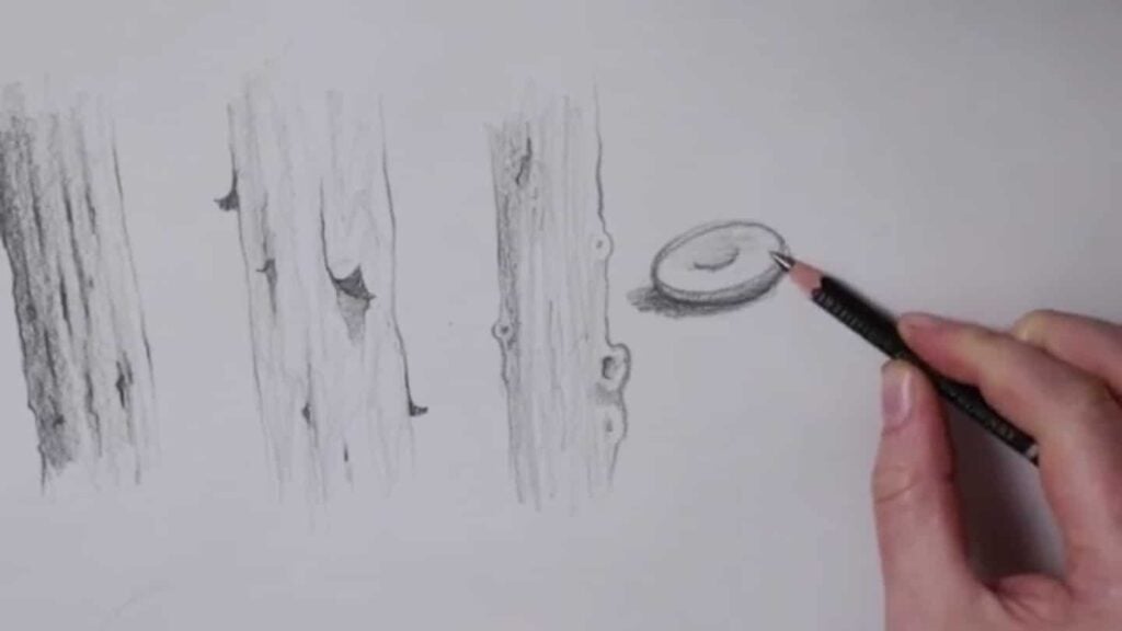 How to Draw Trees: A Step-by-Step Guide | Skillshare Blog