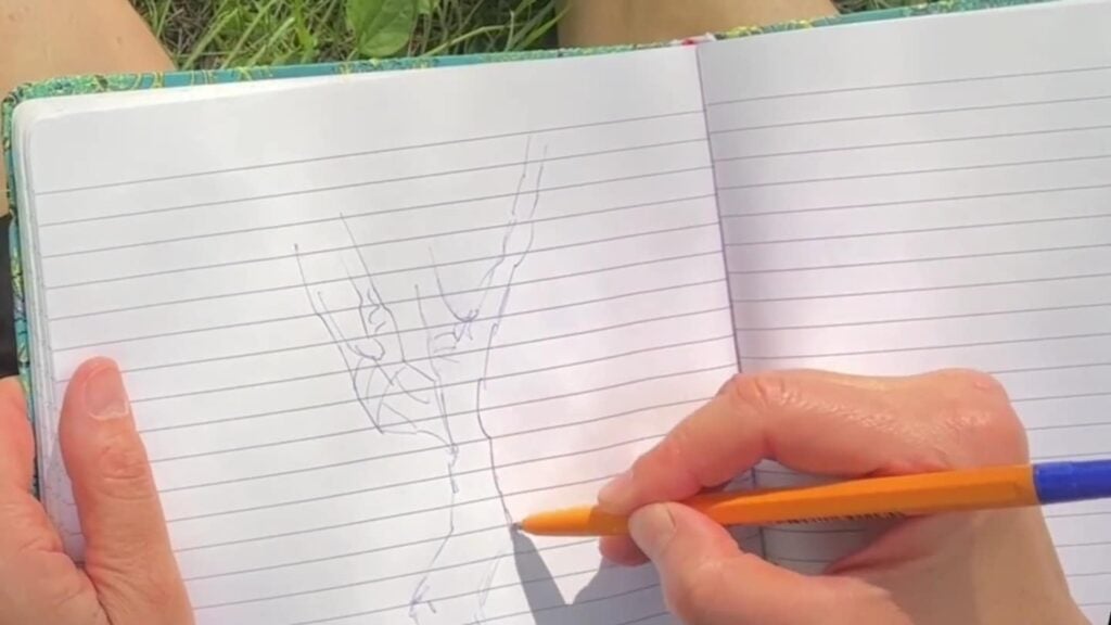 How to Draw Trees: A Step-by-Step Guide | Skillshare Blog