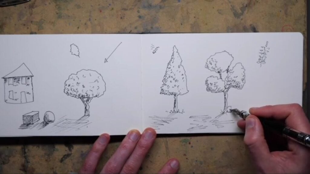 How to Draw Trees: A Step-by-Step Guide | Skillshare Blog